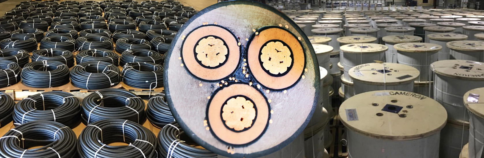 Home - Cameron Connect